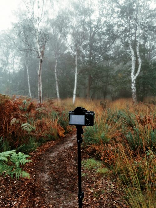 The Complete Guide to (Artistic) Self-Portrait Photography